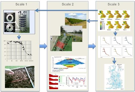 Research Structure And Integration Across Scales Download Scientific