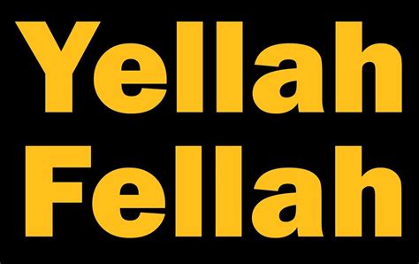 Yellah Fellah Curated By Catherine Croll Manning Regional Art Gallery