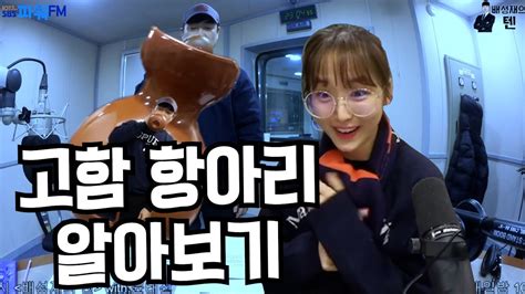 고함 항아리 알아보기 Youtube