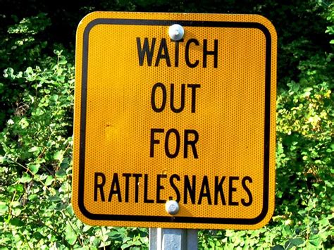 Hilarious Road Signs Funny Road Signs Road Signs Funny Signs