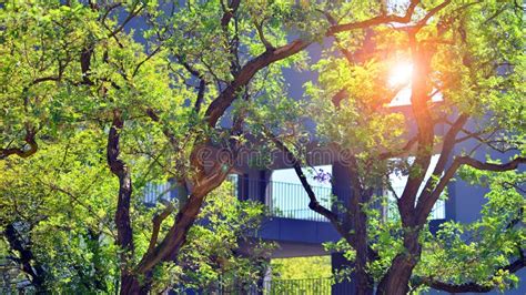 New Modern Block Of Flats In Green Area Eco Apartment Building Saving Energy And Fresh Air