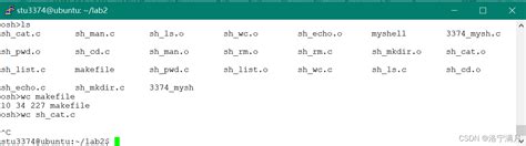 【1】linux 命令环境下 C 语言实践用 Cc构造一个简单的 Shellc语言定制shell命令 Csdn博客
