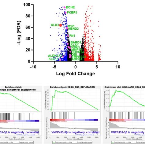RNA Sequencing And Gene Expression Analysis Shows That Several Download Scientific Diagram