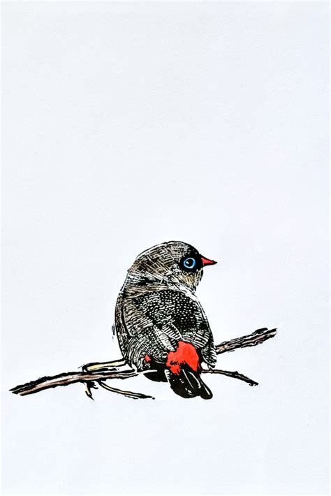 Beautiful Firetail Shop Sala