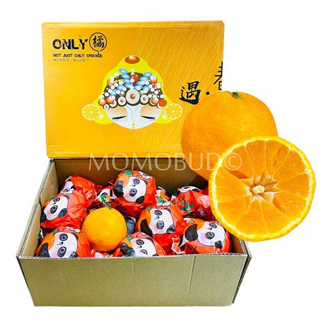 China Chun Jian Mandarin Orange T Box 3kg — Momobud