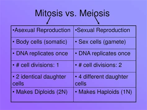 Meiosis Ppt Download