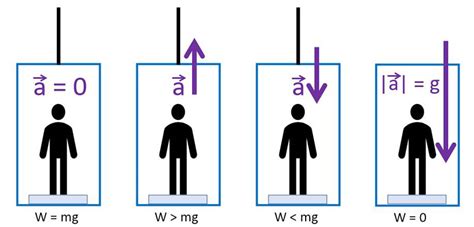 Ph 211weight