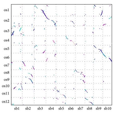 Four Types Of Synteny And Collinearity Plot A Circle Plot B Bar