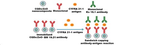 Apa Itu Capping Di Dunia Periklanan
