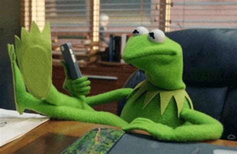 Kermit The Frog Relaxing Feet Up Meme 