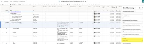 summary sheet report grouping displaying blank after update