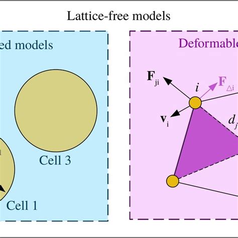 schematic overview of off lattice models the left panel illustrates