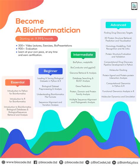 Bioinformatics Memes