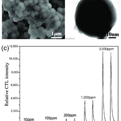 A SEM And B TEM Images Of The SiO2 Fe3O4 Microspheres And C Download Scientific Diagram