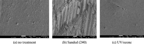 Sem Pictures Of The Cfrp Surface After Treatment Scale 1000x