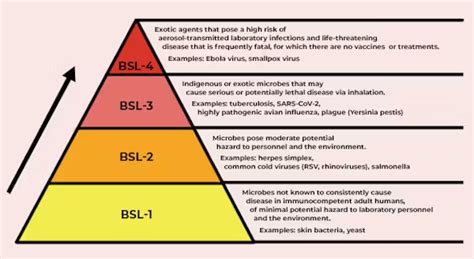Biosafety Levels Bsl 1 Bsl 2 Bsl 3 And Bsl 4 Primary And Secondary Barriers Agents