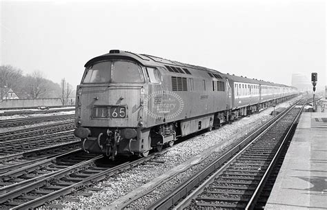 The Transport Library British Rail Diesel Loco Class 52 Western 1043 At Reading In 1974