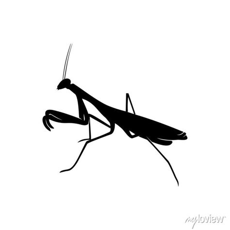 Grasshopper Logo Design Vector Illustration Grasshopper Design Canvas