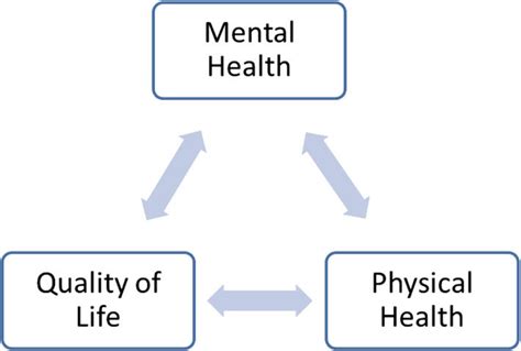 Conceptual Framework Of The Interrelationship Between Mental Health