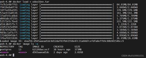 群晖nas和绿联nas的docker安装odoo17社区版和企业版教程odoo 群晖 Csdn博客