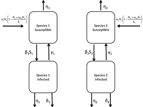 Compartmental Model Download Scientific Diagram