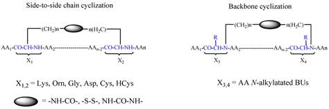 schematic representation of peptide optimization methodologies
