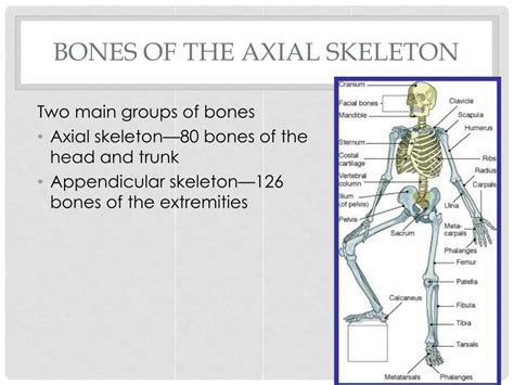 Ppt Chapter 6 Powerpoint Presentation Free Download Id2172180