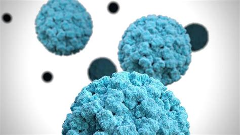 Scientists Uncover Potent Antibody That Neutralizes 75 Of Norovirus