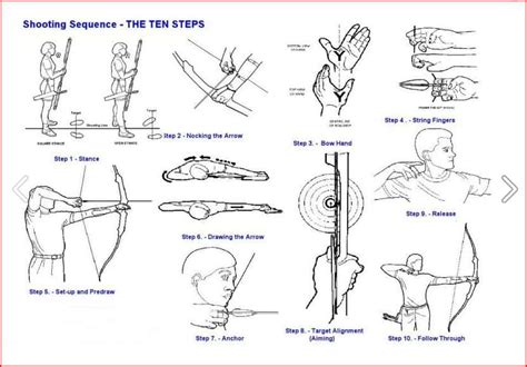 How To Shoot A Bow Correctly For Recurve And Compound Bows