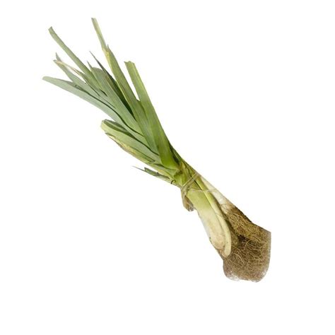 Leek Pricepally
