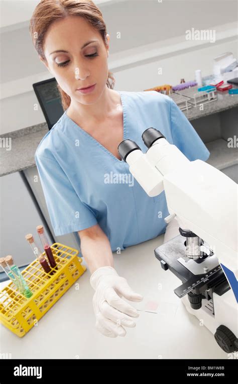 Female Lab Technician Analyzing A Sample In A Laboratory Stock Photo Alamy