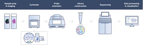 Sequencing Based Spatial Transcriptomics On The 10x Genomics Visium Platform