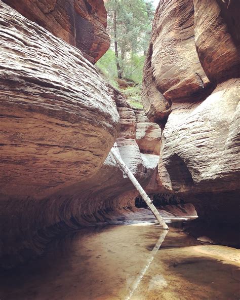Step By Step To The Subway Your Ultimate Zion Hiking Resource Trailsjesstraveled