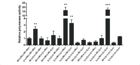 Polymerase Activities Of 16 Rnp Complexes 293t Cells Were