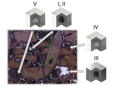 Types Of Inclusions In The Composite Material Download Scientific Diagram