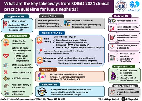 Kdigo 2024 Lupus Nephritis Guidelines Visual Abstract — Nephjc