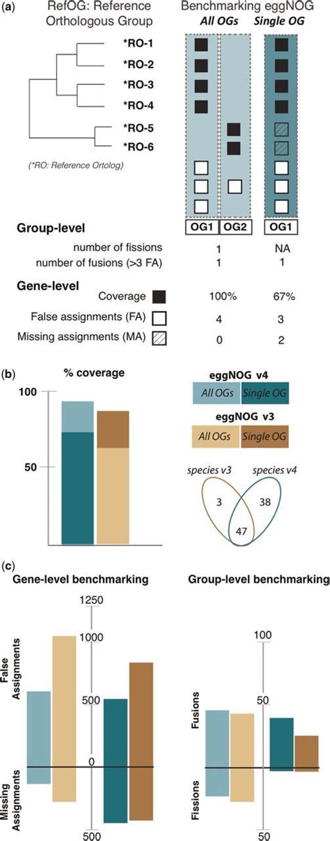 Eggnog V4 0 Nested Orthology Inference Across 3686 Organisms Pmc