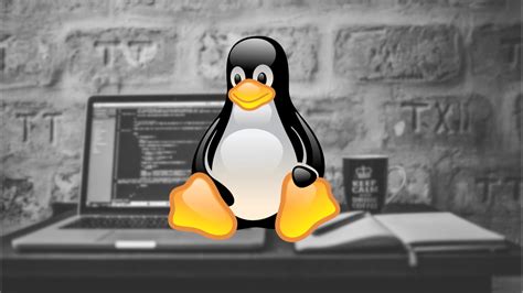 Linux Com 3 Dos Desktops A Maior Mentira Que Te Contaram Rikerlinux