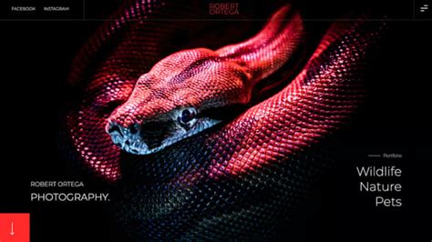 Provide Htmlcssjavascript Development For A Stunning Website By