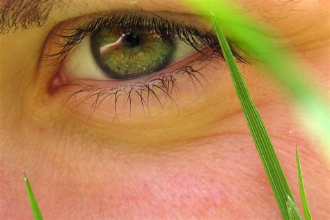 Grass Green Eyes I Officially Love My Eyes Megan Paul Flickr