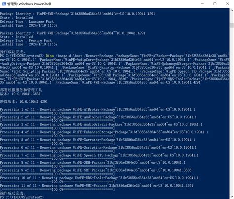 Windows 10 Iot Ltsc 2021原版英文镜像汉化方法（补充2） 哔哩哔哩