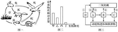 下面图一表示某森林生态系统中的食物链和食物网图二表示图一中某条食物链各生物体内有毒物质的相对含量图三表示生态系统中的碳循环和能量流动请据图回答 在生物学上把空气光照水分鼠