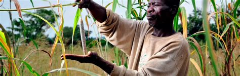 Minor Global Development Issues Fontys