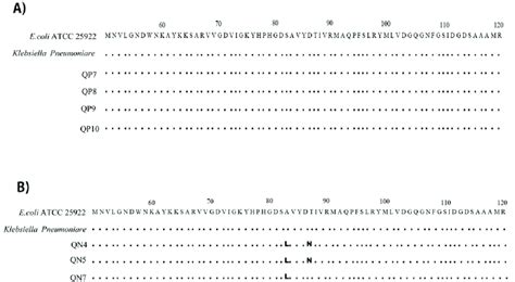Tanalyses Of Mutations In The Gyra Gene Within The Qrdrs Download Scientific Diagram