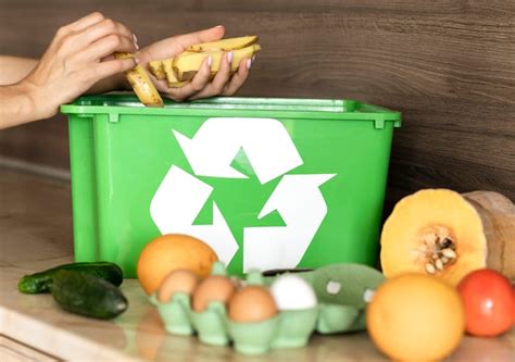 Reciclagem Lixo Organico Imagens Download Grátis No Freepik