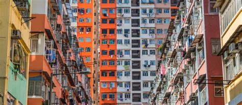 Why Overpopulation Is A Problem Causes Consequences And What We Can