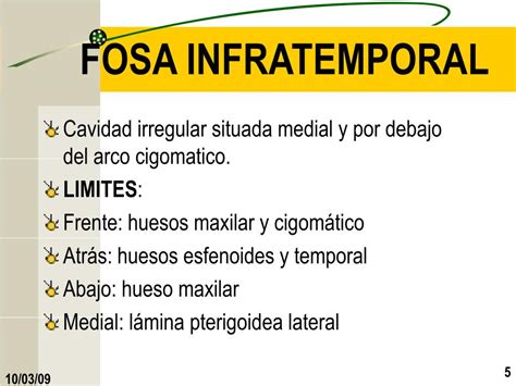Ppt Delimite A La Fosa Infratemporal Enuncie El Contenido De La