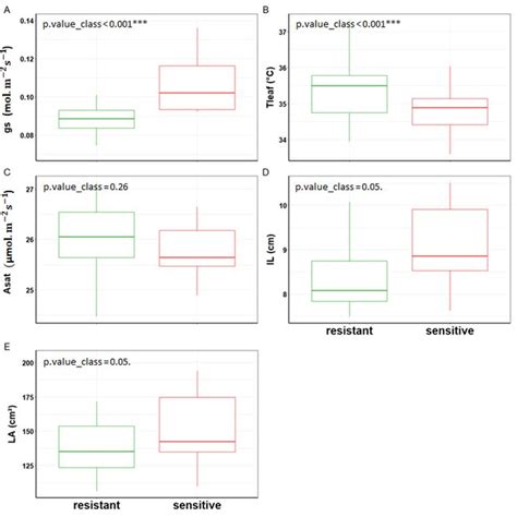 Box Plot Representation Of The Physiological Gs Tleaf Asat And