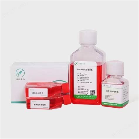 Yc 2107 Dmem高糖培养基 不含盐酸硫胺 化工仪器网