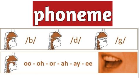 Phoneme What Is Phoneme In Linguistics Definition In Details